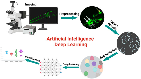 Utilization of Artificial Intelligence Coupled with a High-Throughput ...