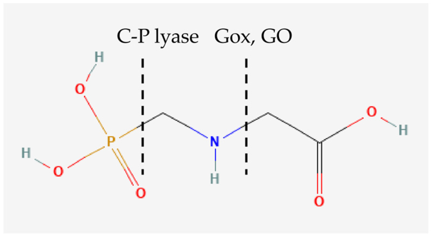 An Evolutionary Study in Glyphosate Oxidoreductase Gox Highlights ...