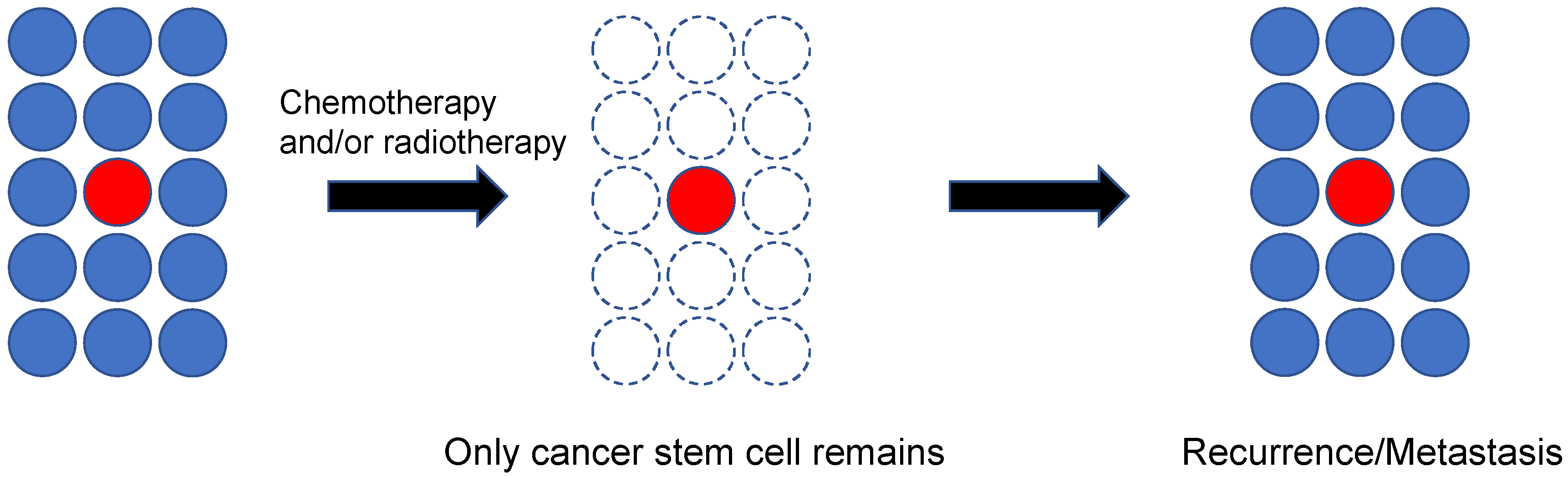 Jpm Free Full Text Patient Derived Tumor Xenograft Models Toward