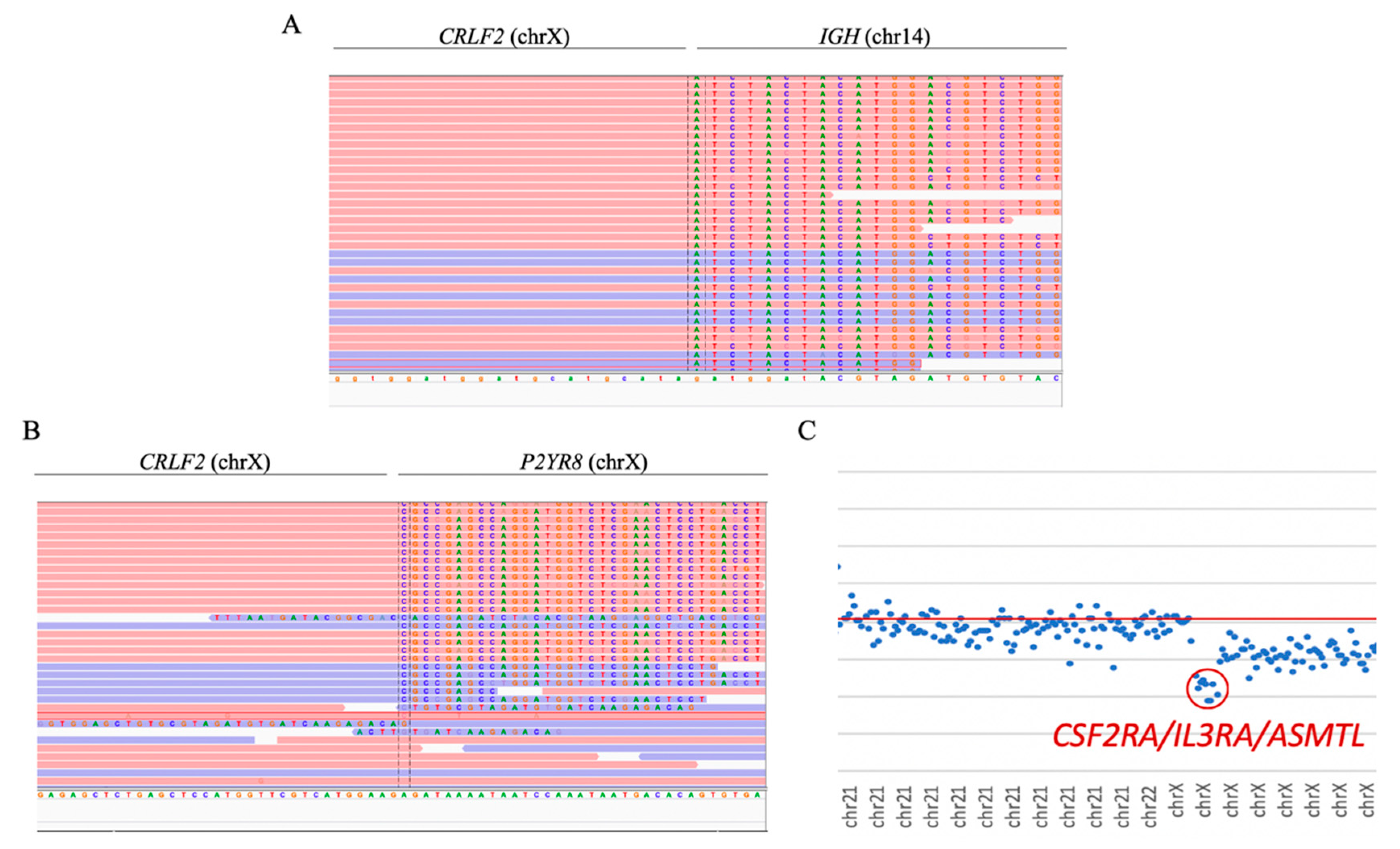 Comprehensive Custom NGS Panel Validation for the Improvement of the ...