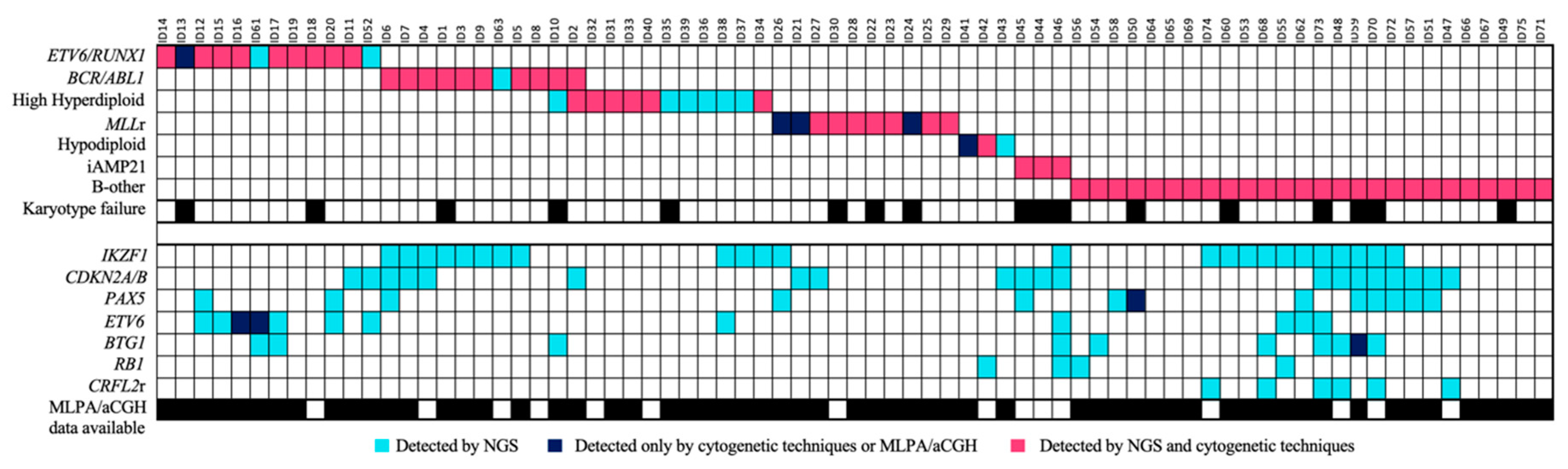 Comprehensive Custom NGS Panel Validation for the Improvement of the ...