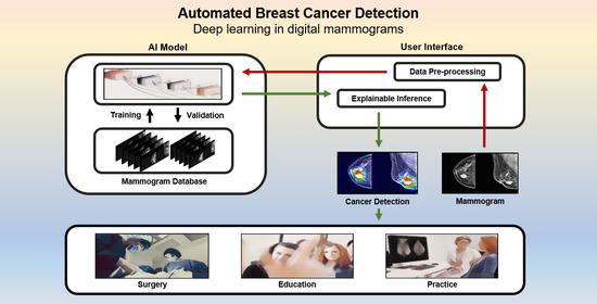 JPM | Free Full-Text | Automated Breast Cancer Detection in Digital ...