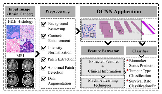 The Application of Deep Convolutional Neural Networks to Brain Cancer ...