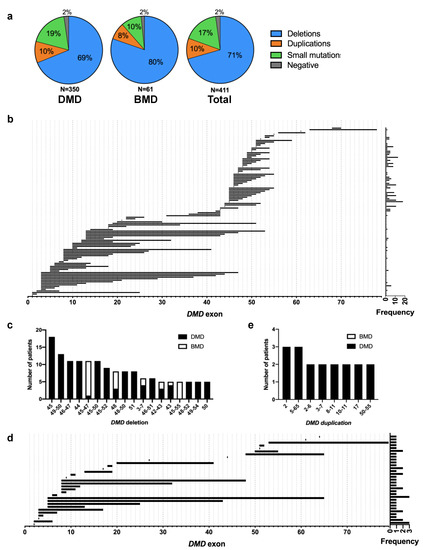 Genotype–Phenotype Correlations in Duchenne and Becker Muscular ...