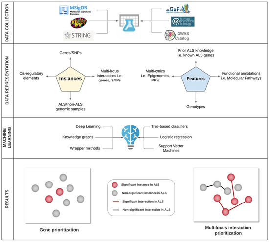 What Can Machine Learning Approaches in Genomics Tell Us about the ...