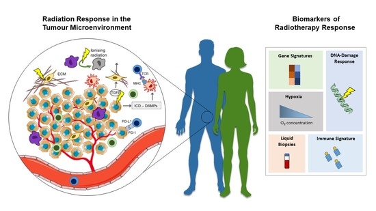 JPM | Special Issue : Radiation Response Biomarkers for Individualised ...