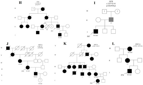 The Mutation Spectrum of Maturity Onset Diabetes of the Young (MODY ...
