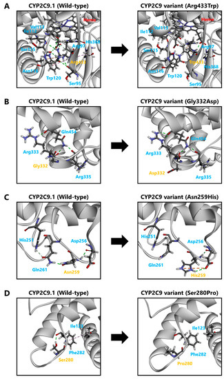 Functional Assessment of 12 Rare Allelic CYP2C9 Variants Identified in ...