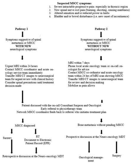 JPM | Free Full-Text | Management of Metastatic Spinal Cord Compression ...