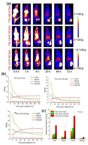 HPMA Copolymer-Based Nanomedicines in Controlled Drug Delivery