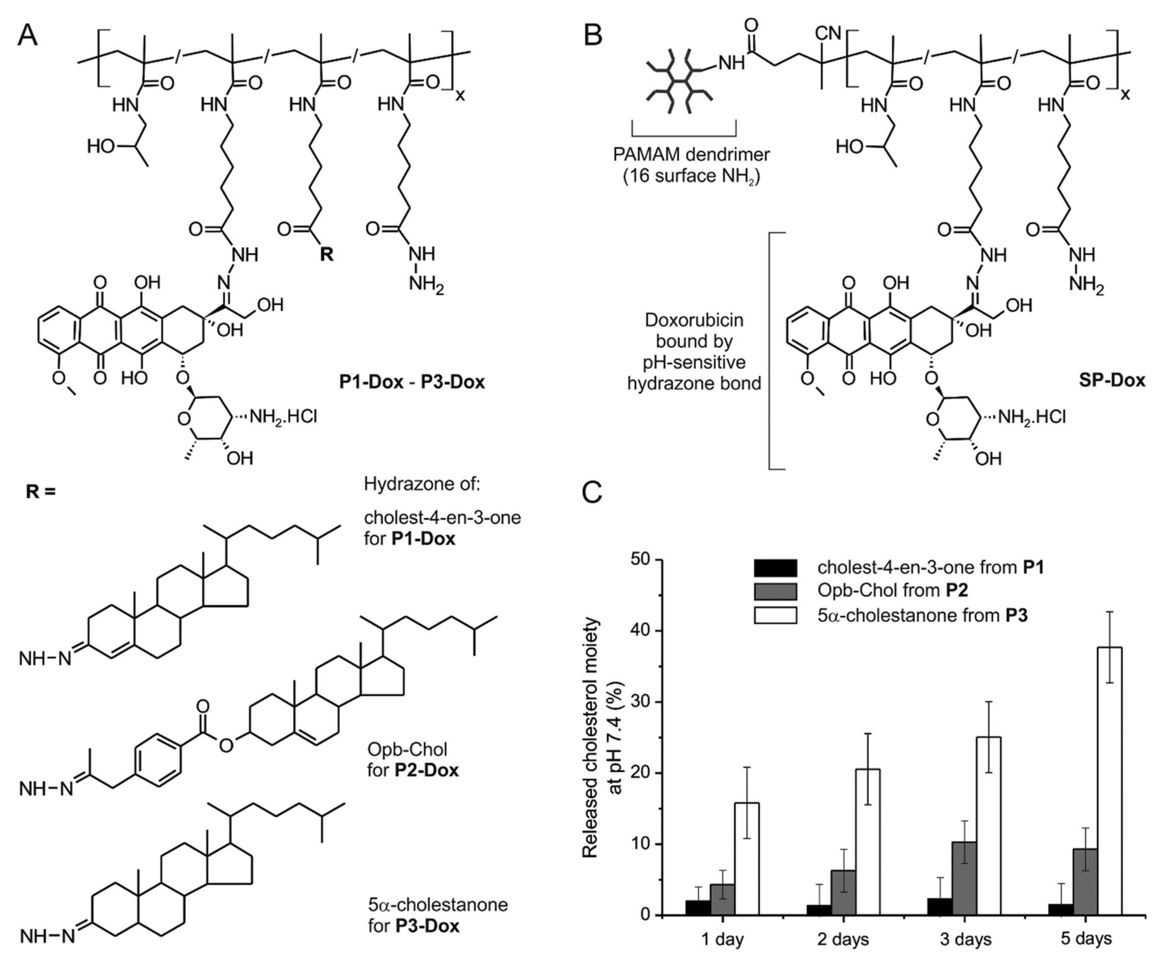 HPMA Copolymer-Based Nanomedicines in Controlled Drug Delivery