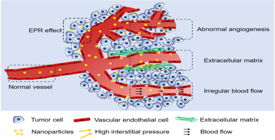 JPM | Special Issue : EPR Effect-Based Tumor Targeted Nanomedicine