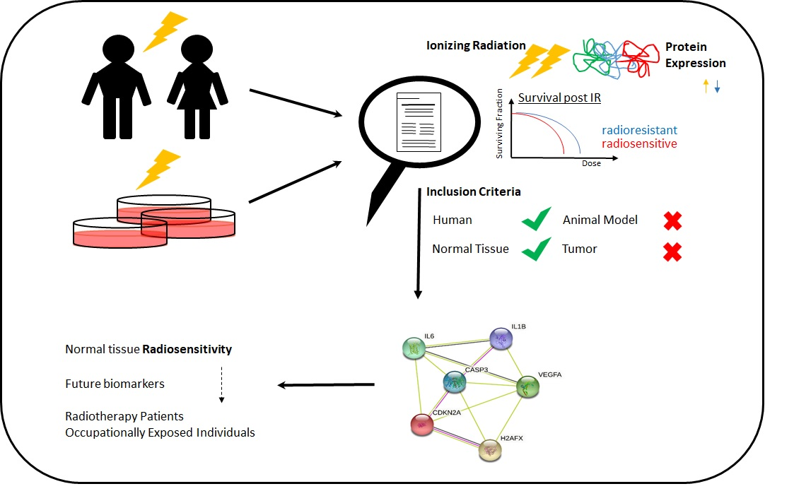 JPM | Free Full-Text | Ionizing Radiation Protein Biomarkers in Normal ...