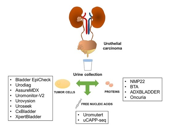 JPM | Free Full-Text | Liquid Biopsy Biomarkers in Urine: A Route towards Molecular Diagnosis ...