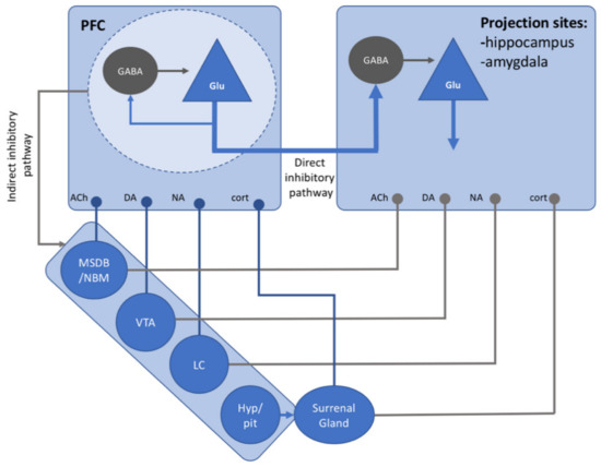 Forgetting Unwanted Memories: Active Forgetting and Implications for the Development of ...