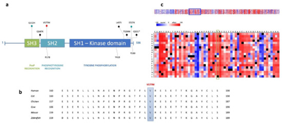 A Novel Low-Risk Germline Variant in the SH2 Domain of the SRC Gene ...