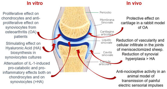 Treatment Efficacy with a Novel Hyaluronic Acid-Based Hydrogel for ...