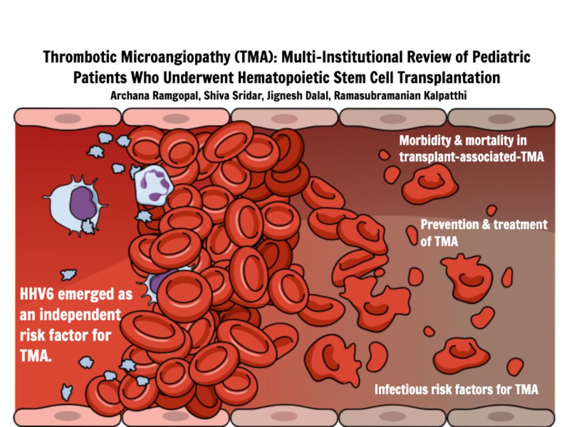 JPM | Free Full-Text | Thrombotic Microangiopathy: Multi-Institutional ...