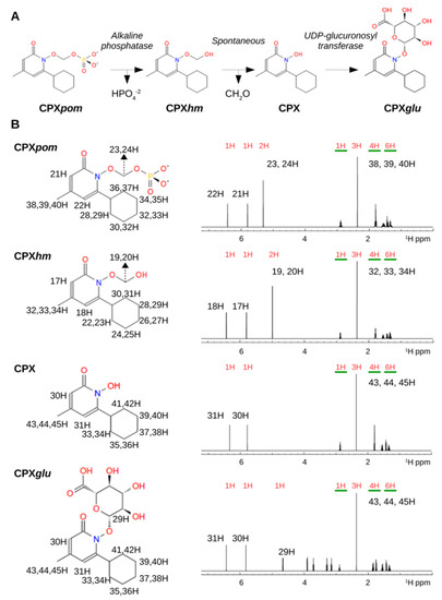 Improving the Pharmacological Properties of Ciclopirox for Its Use in ...