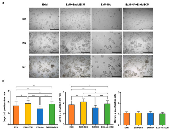 Improved Models of Human Endometrial Organoids Based on Hydrogels from ...
