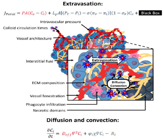 Recent Advances in Tumor Targeting via EPR Effect for Cancer Treatment