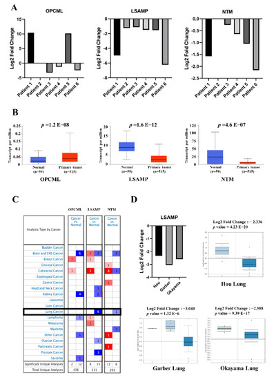 The Downregulation of LSAMP Expression Promotes Lung Cancer Progression ...