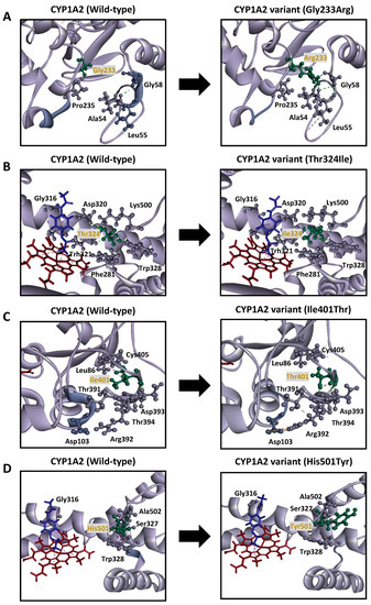 JPM | Free Full-Text | Functional Characterization of 21 Rare Allelic ...