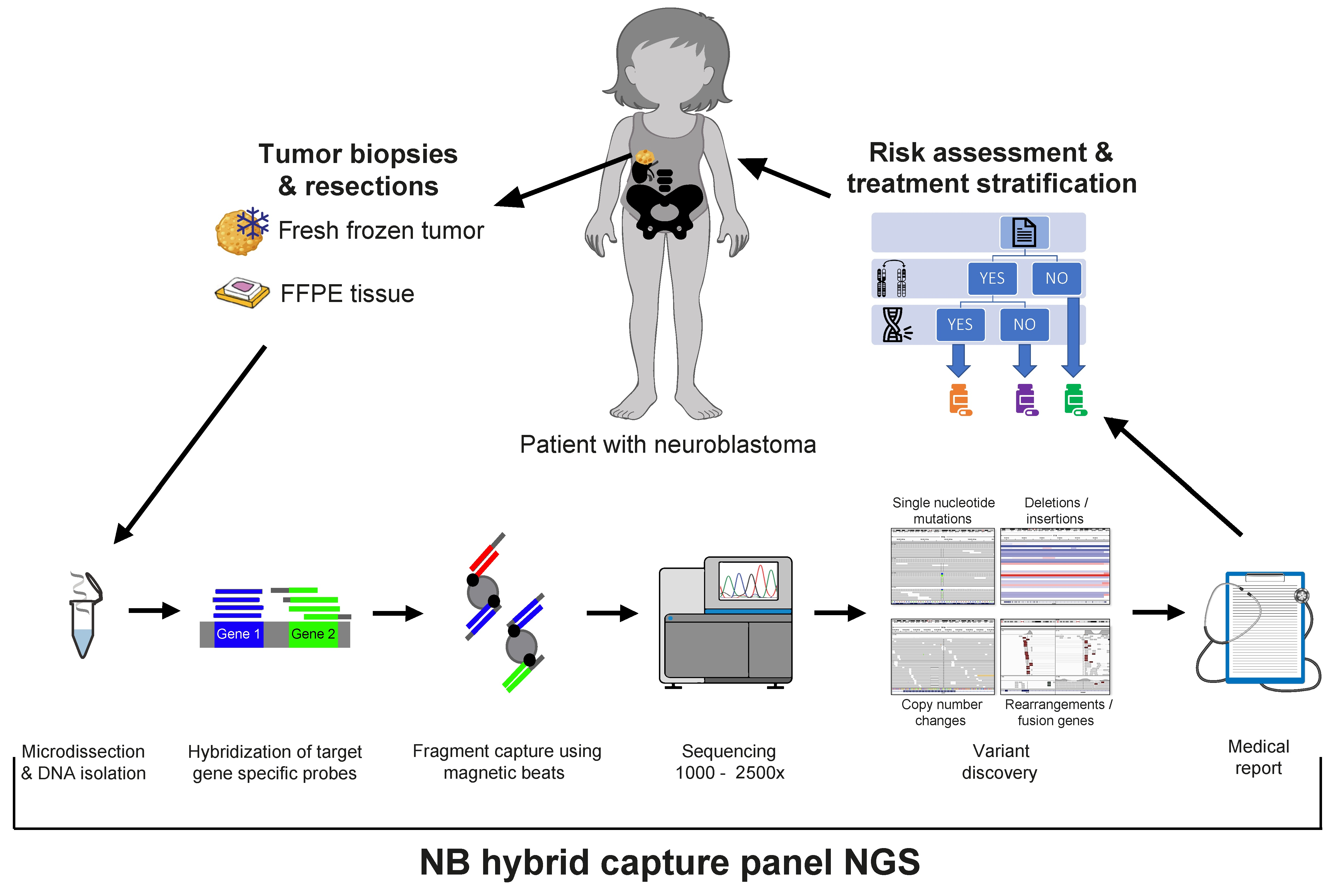 JPM | Free Full-Text | Neuroblastoma Risk Assessment and Treatment ...