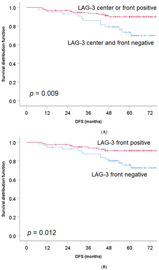 JPM | Free Full-Text | LAG-3 Expression Predicts Outcome in Stage II ...