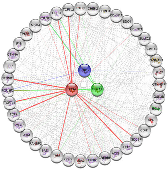 Multi-Omics Analysis of SOX4, SOX11, and SOX12 Expression and the ...