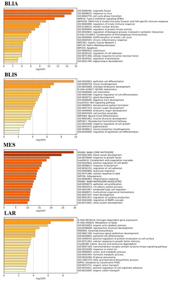 Molecular Classification Models for Triple Negative Breast Cancer ...