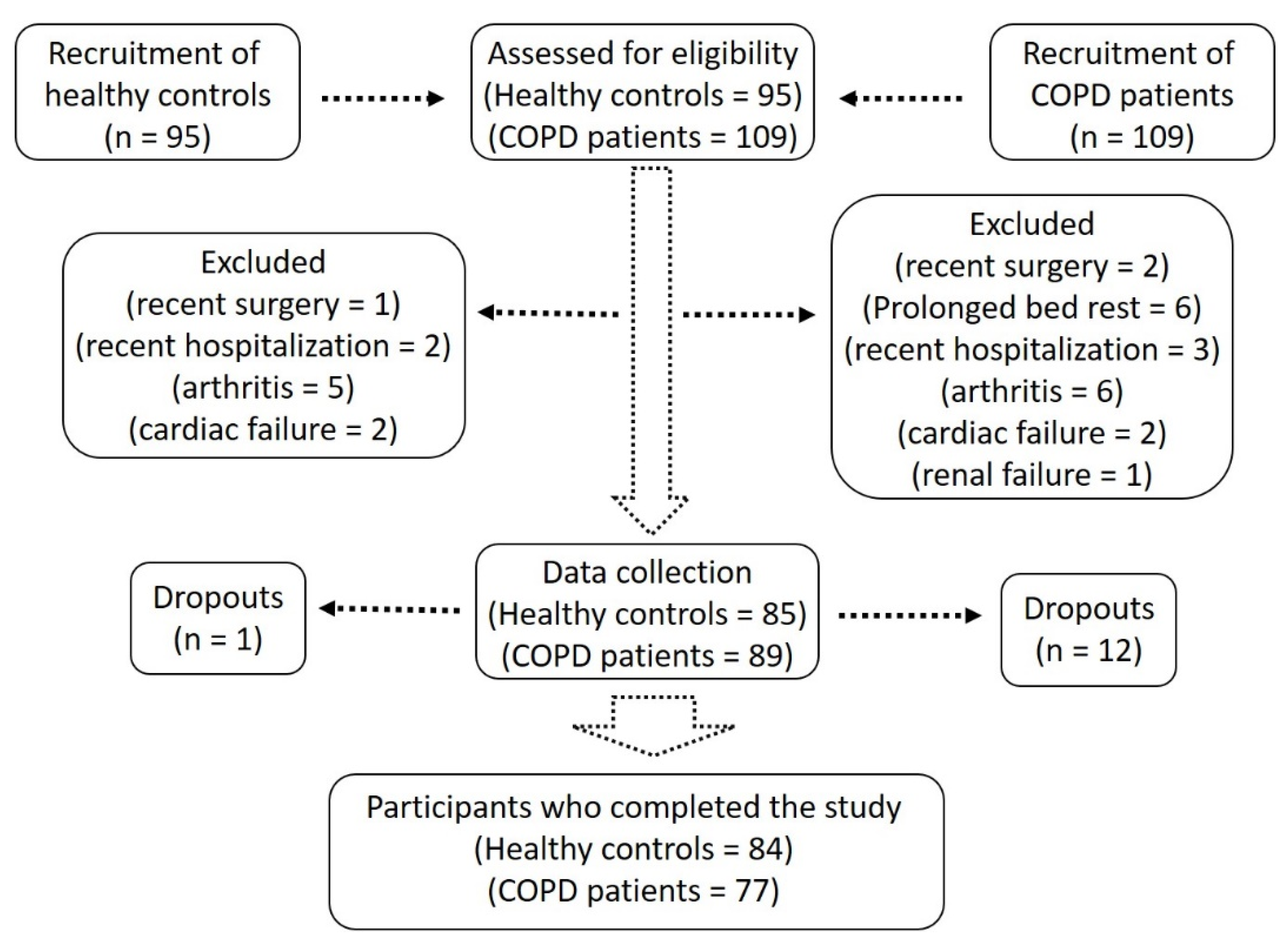 Neuromuscular Junction Flow Chart