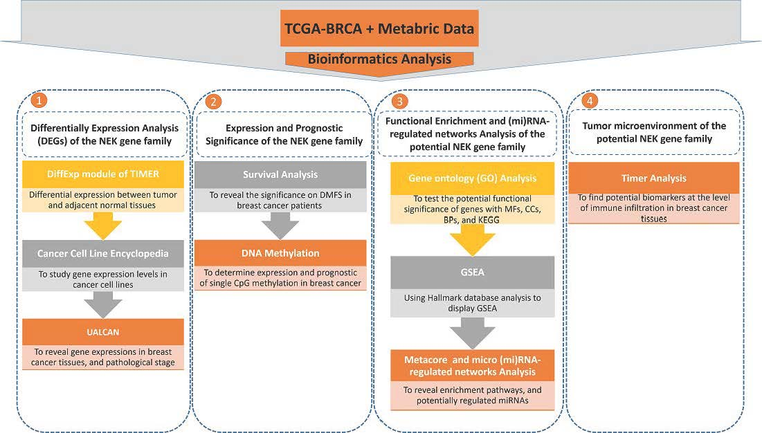 JPM | Free Full-Text | Potential Prognostic Biomarkers of NIMA (Never ...