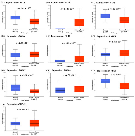 Potential Prognostic Biomarkers of NIMA (Never in Mitosis, Gene A ...