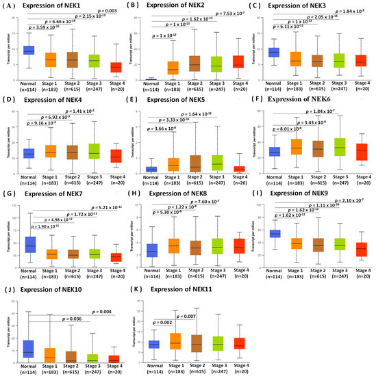 JPM | Free Full-Text | Potential Prognostic Biomarkers of NIMA (Never ...