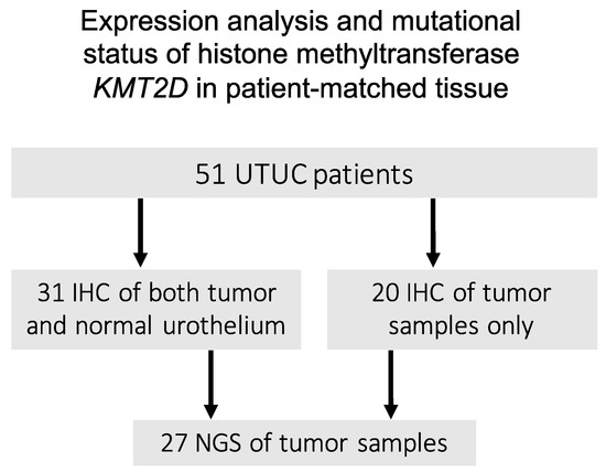 Expression Analysis and Mutational Status of Histone Methyltransferase ...