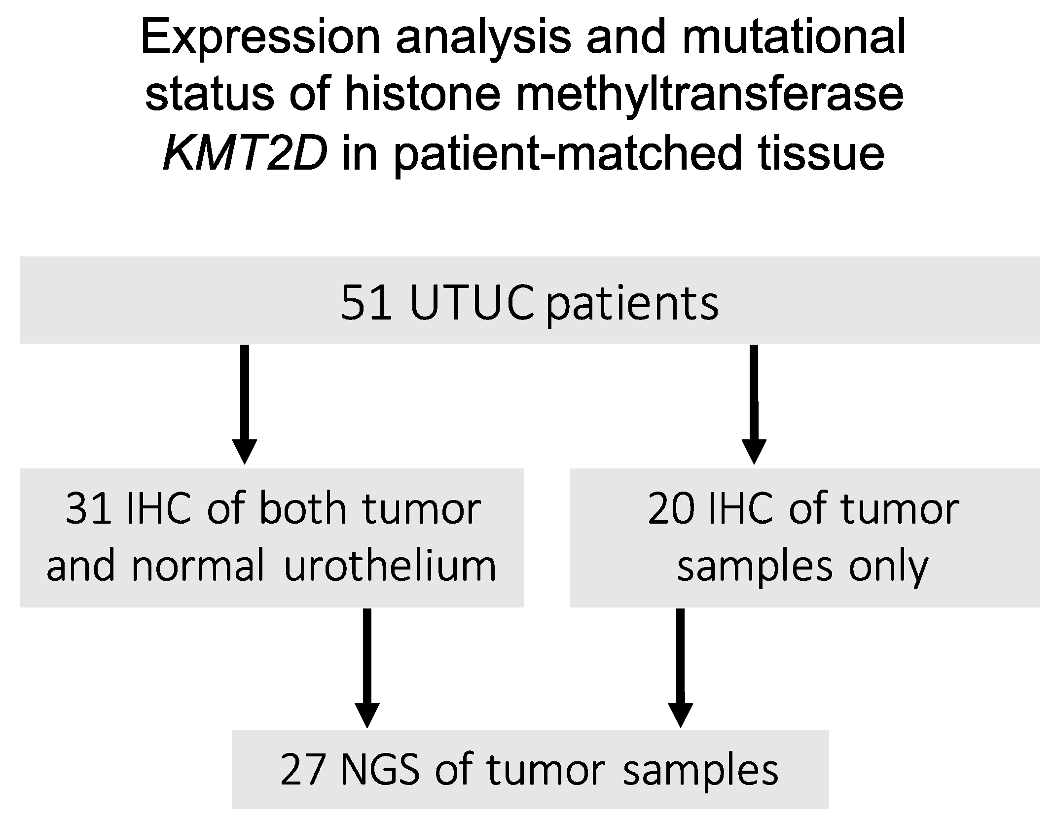 Expression Analysis and Mutational Status of Histone Methyltransferase ...