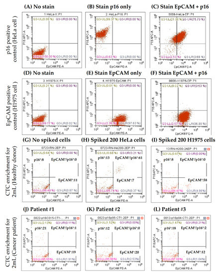 Circulating p16-Positive and p16-Negative Tumor Cells Serve as ...