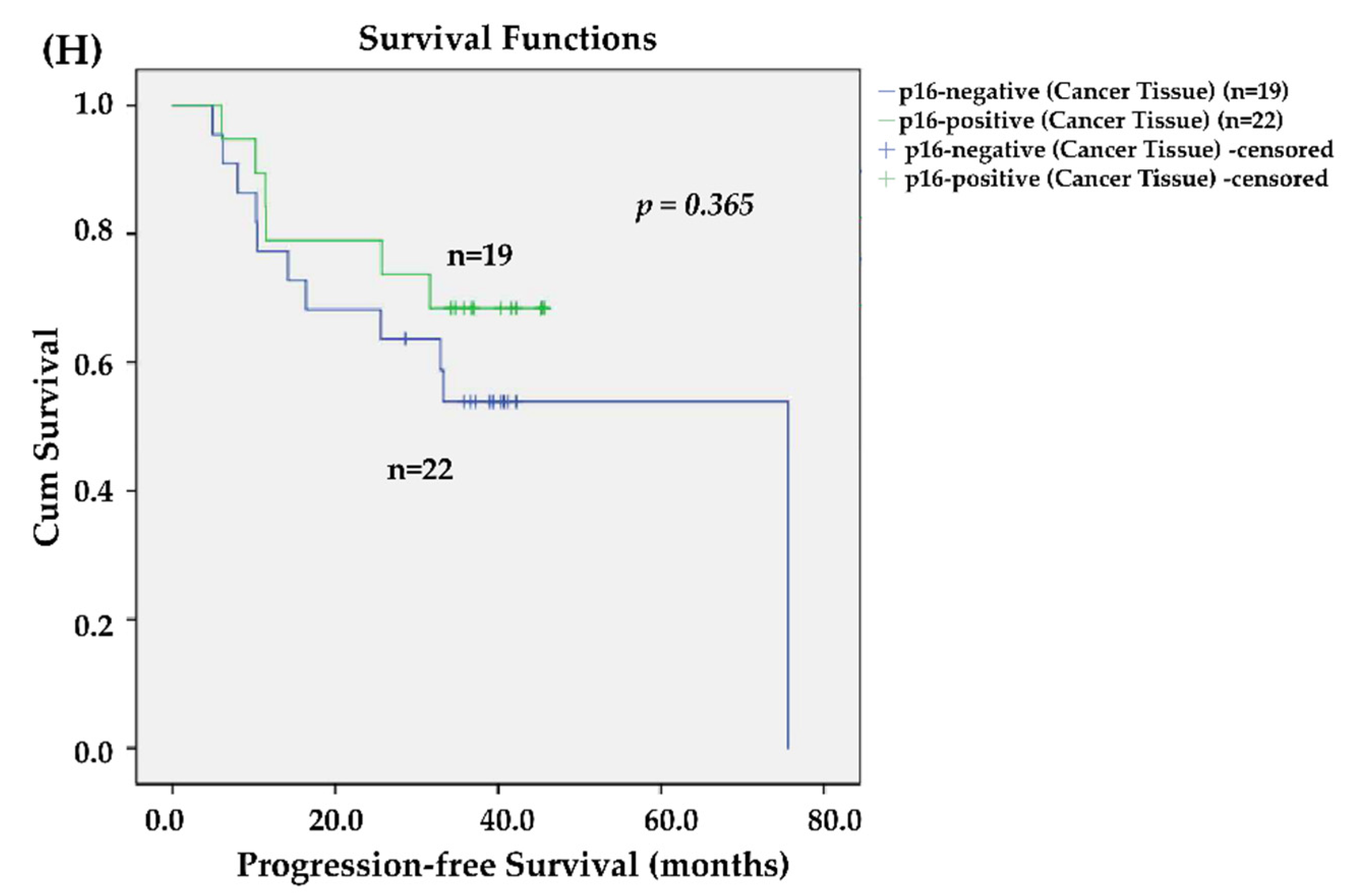 Circulating p16-Positive and p16-Negative Tumor Cells Serve as ...