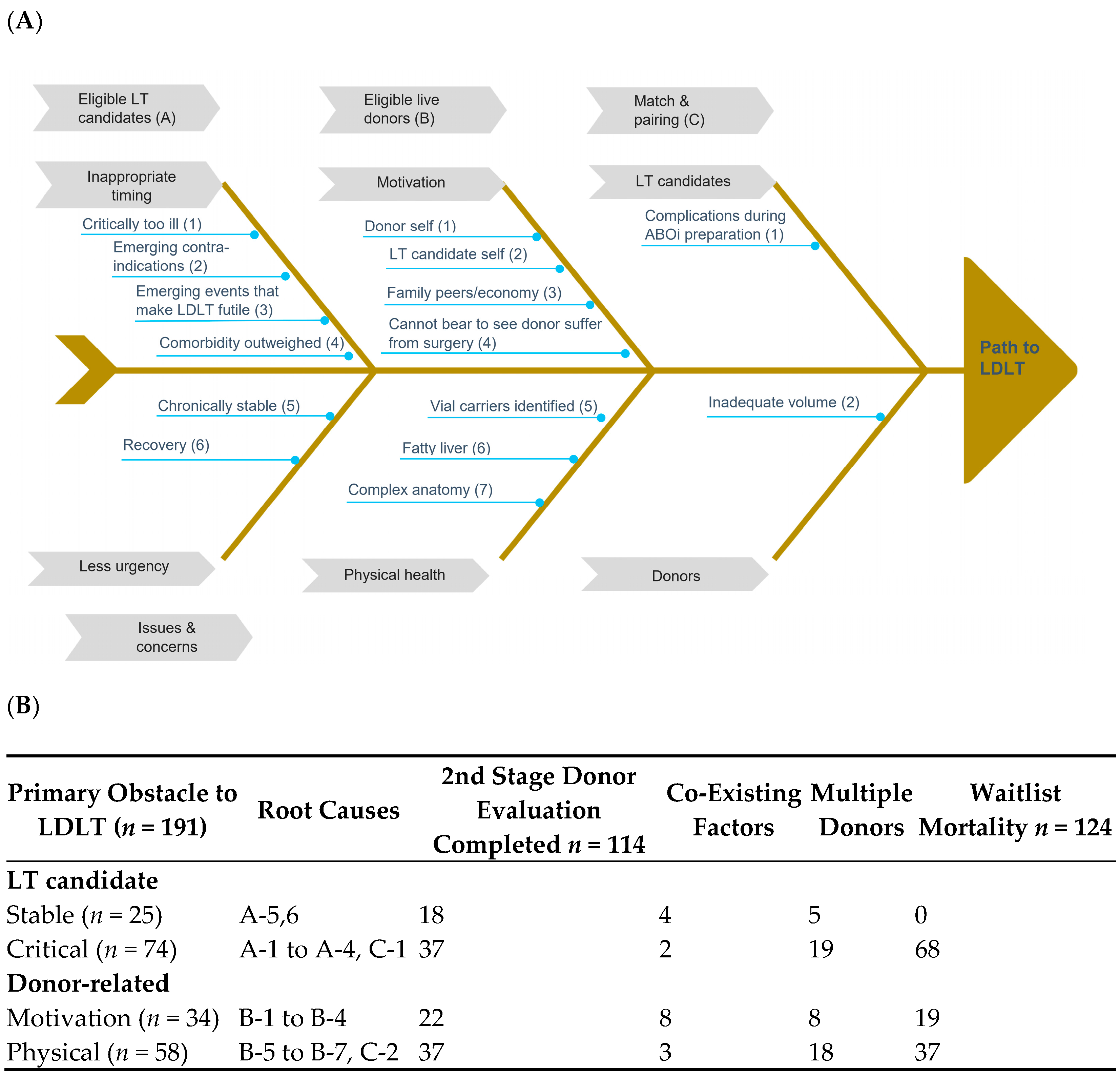 Circuitous Path to Live Donor Liver Transplantation from the ...