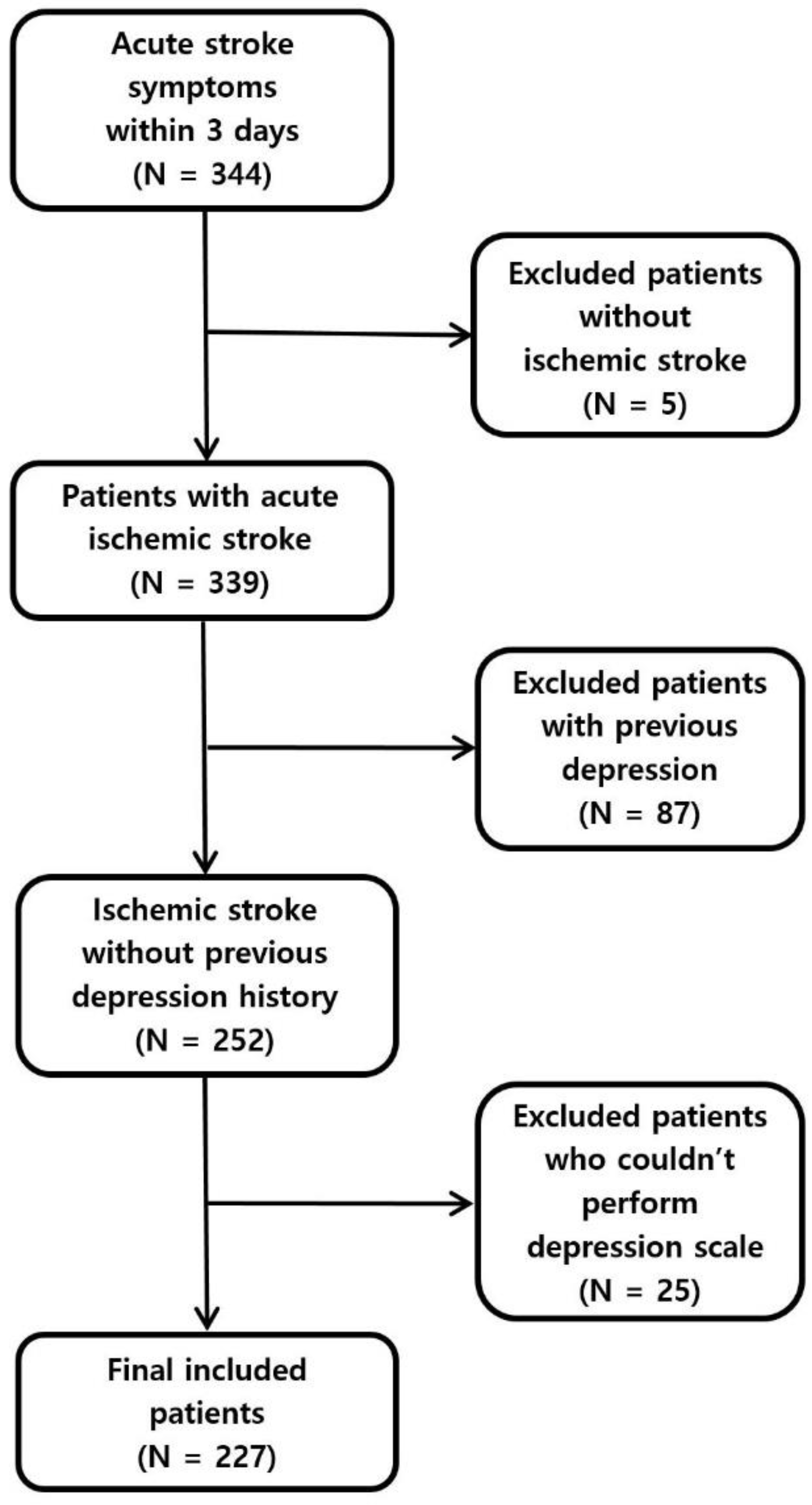 Factors Affecting Post-Stroke Depression in Acute Ischemic Stroke ...