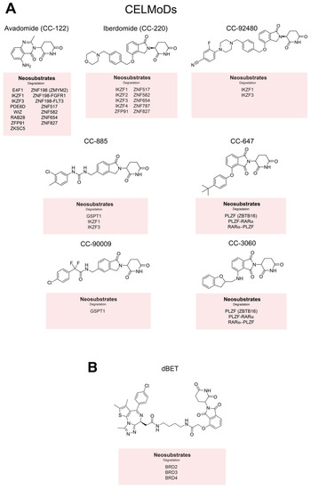 Molecular Mechanisms of Cereblon-Interacting Small Molecules in ...