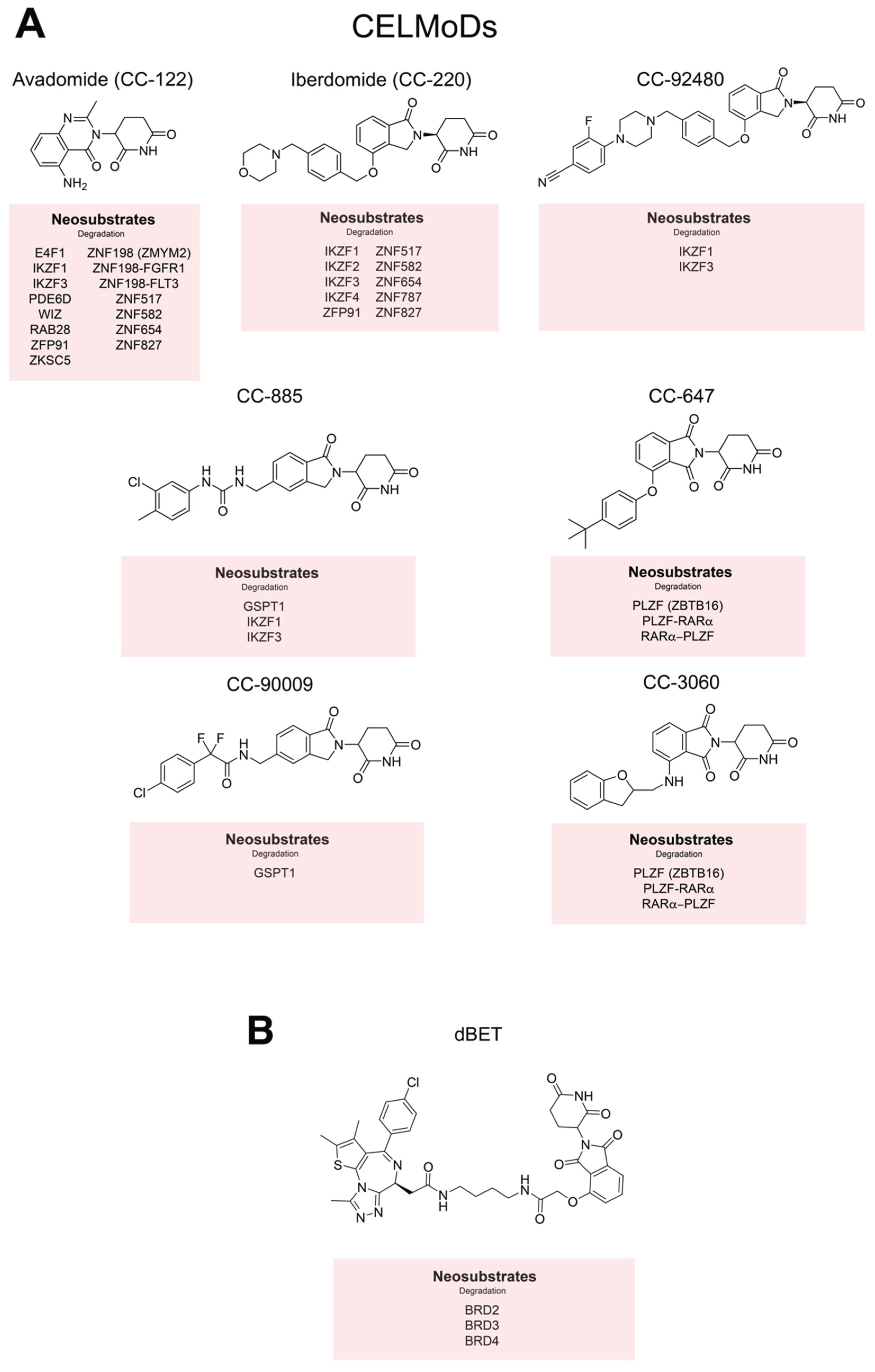 Molecular Mechanisms of Cereblon-Interacting Small Molecules in ...