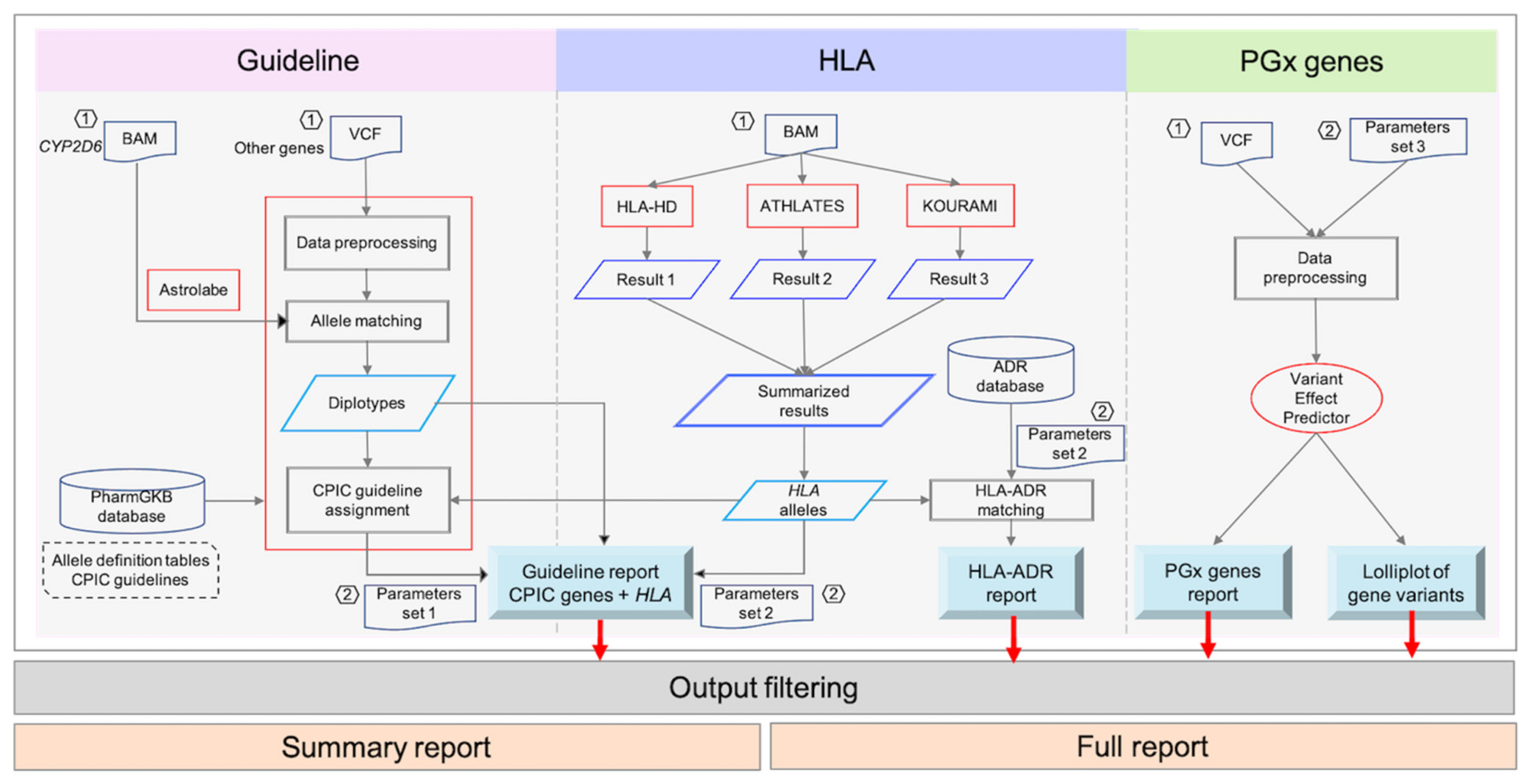 PharmVIP: A Web-Based Tool for Pharmacogenomic Variant Analysis and ...