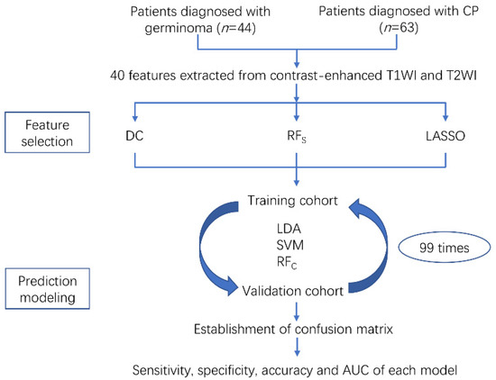 Differentiation between Germinoma and Craniopharyngioma Using Radiomics-Based Machine Learning