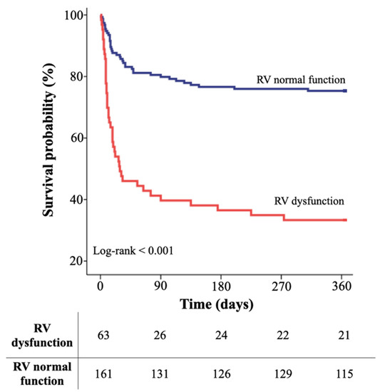 Long-Term Prognostic Impact of Right Ventricular Dysfunction in ...
