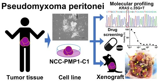 JPM | Free Full-Text | Establishment and Characterization of NCC-PMP1 ...