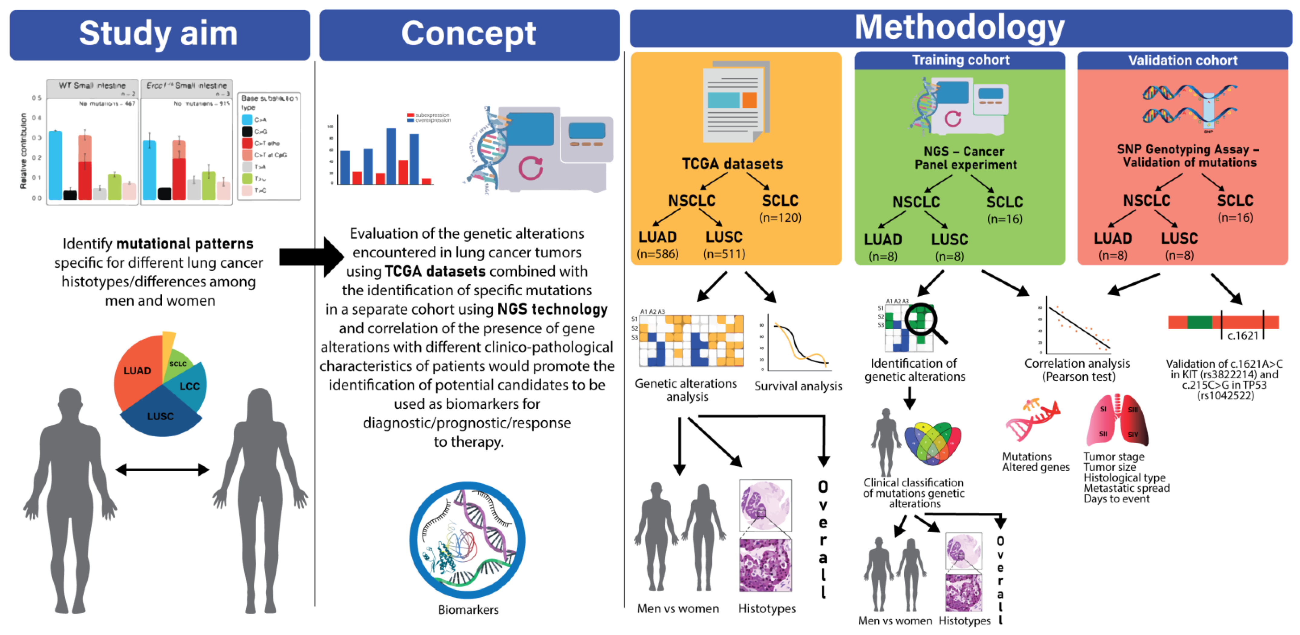 JPM | Free Full-Text | Next-Generation Sequencing in Lung Cancer ...