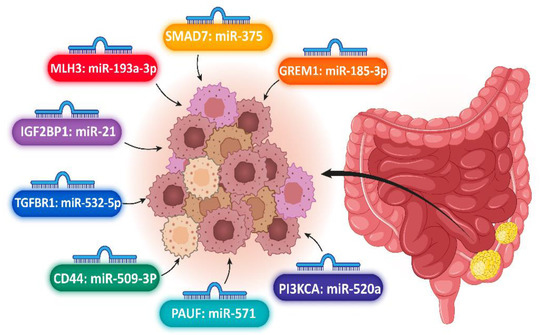 The Importance of SNPs at miRNA Binding Sites as Biomarkers of Gastric ...