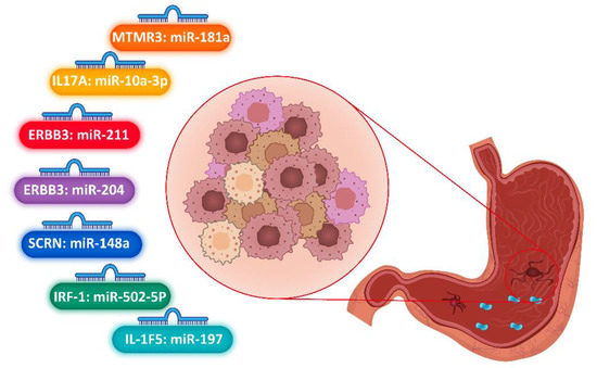 The Importance of SNPs at miRNA Binding Sites as Biomarkers of Gastric ...